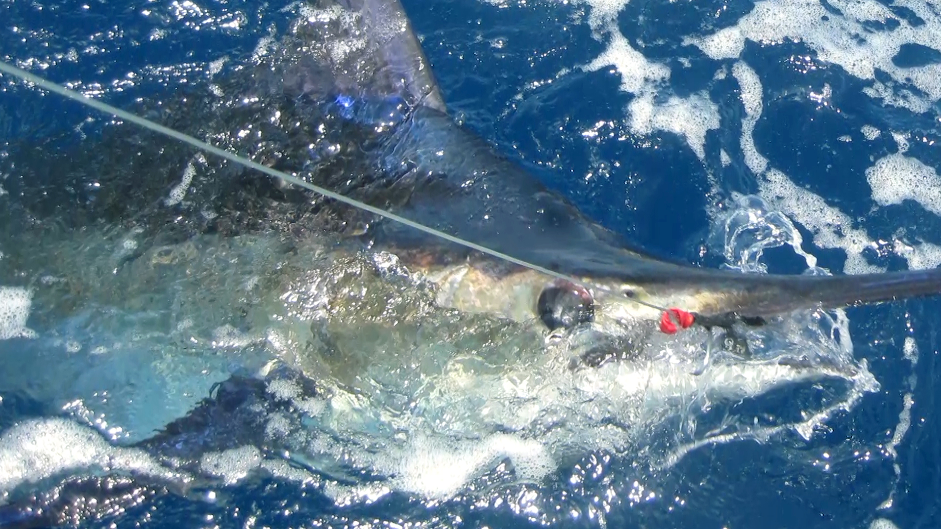 The Hemingway Challenge - Reelin in the Keys - Fishing TV